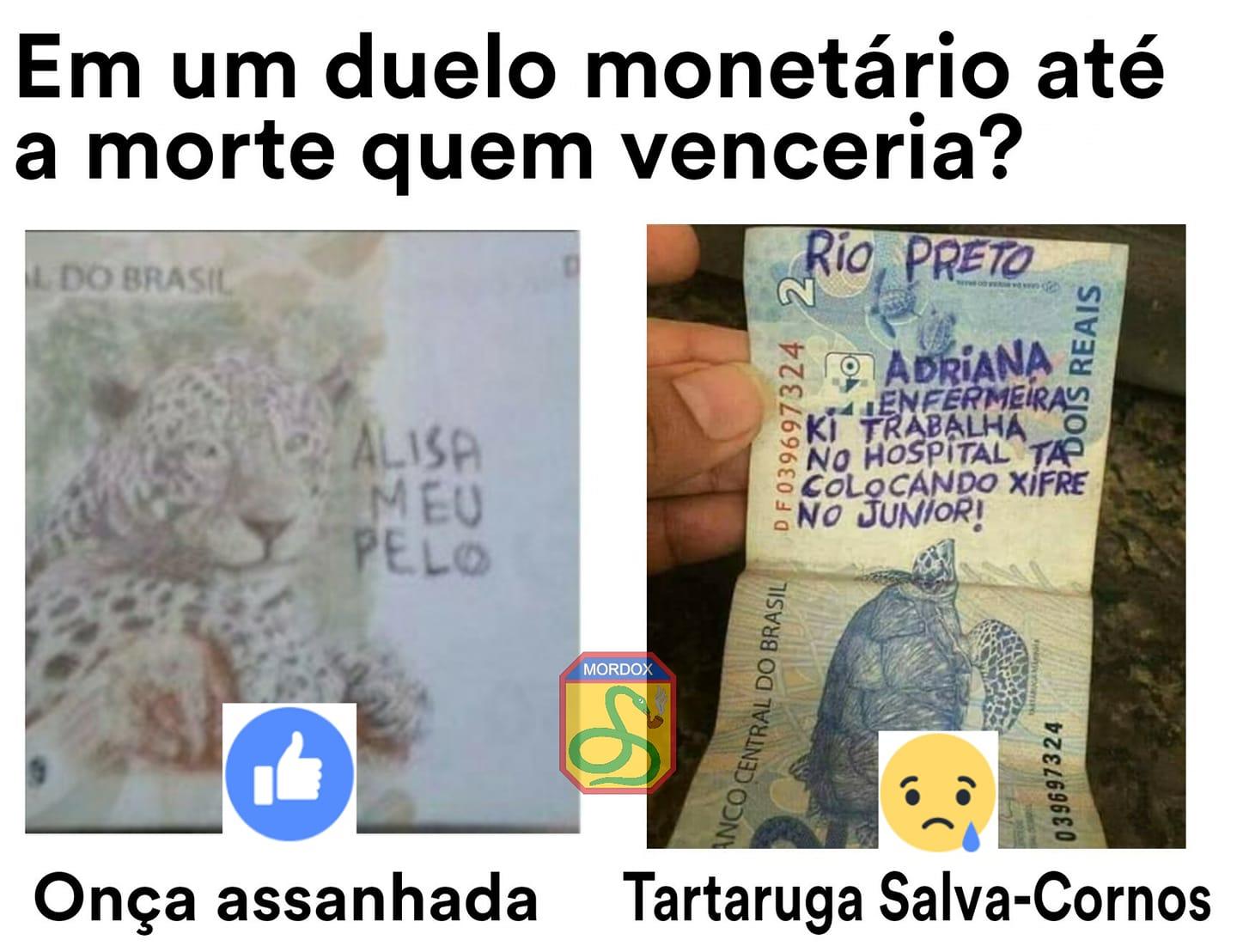 Alisa meu pelo votação | Alisa Meu Pelo / Smooth My Fur | Know Your Meme
