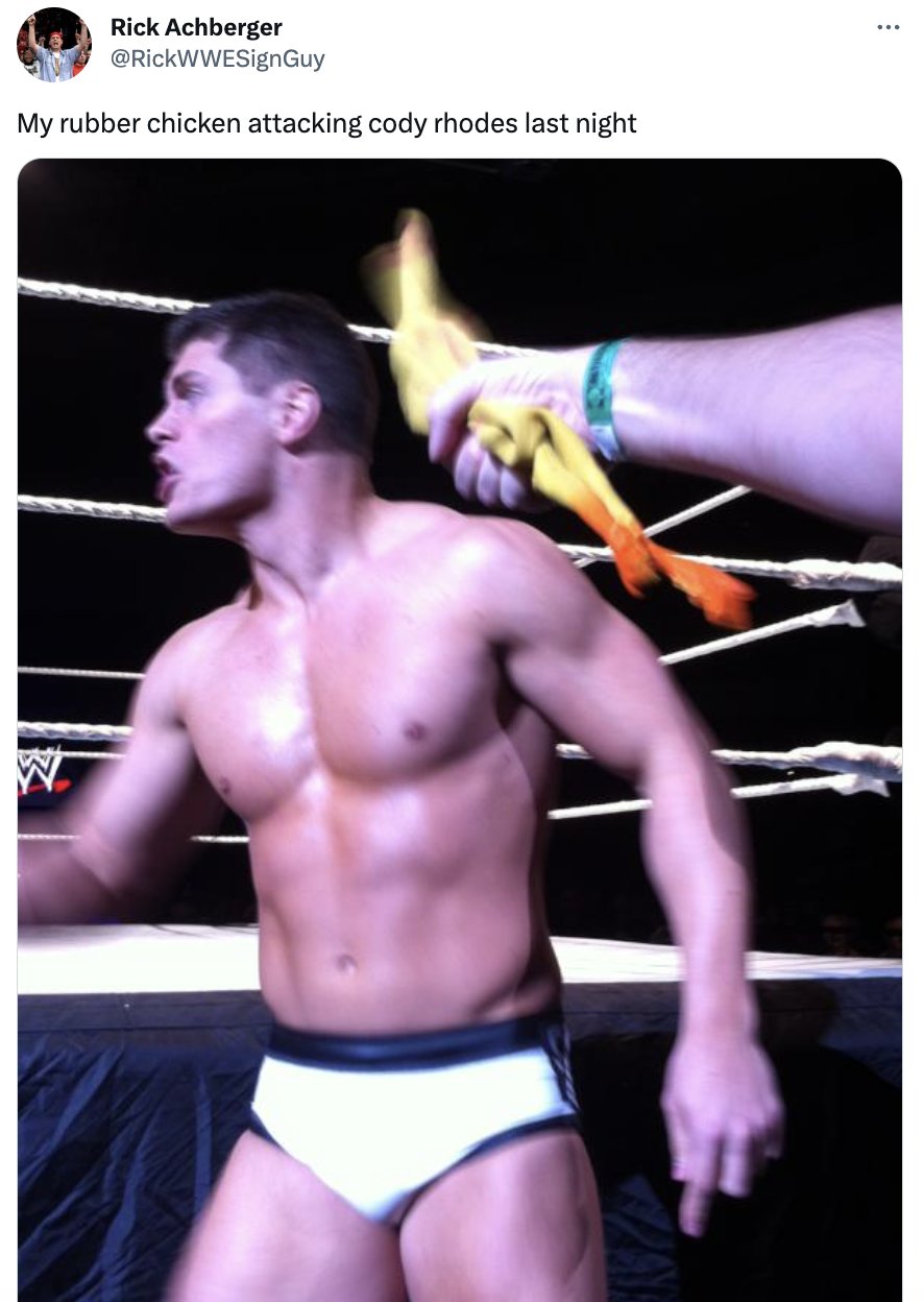 Hitting Cody with a Chicken | Cody Rhodes Hit By A Rubber Chicken | Know Your Meme
