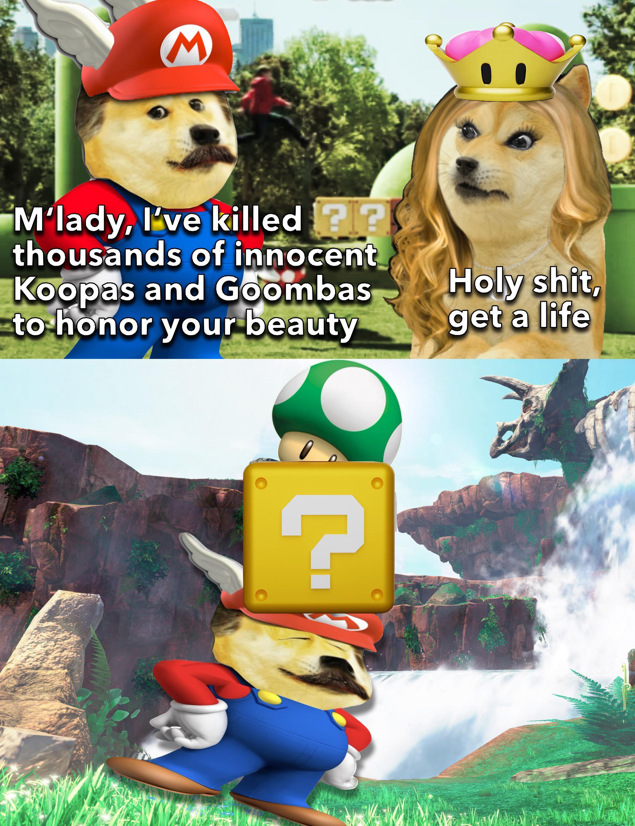 Le Mario who‘s getting a life has arrived | /r/dogelore | Ironic Doge ...