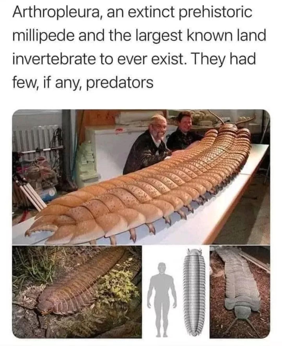 Few If Any... | Paleontology | Know Your Meme