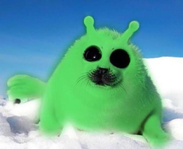 green alien baby seal | Gnarp Gnarp / Geeble / Green Alien Animals ...