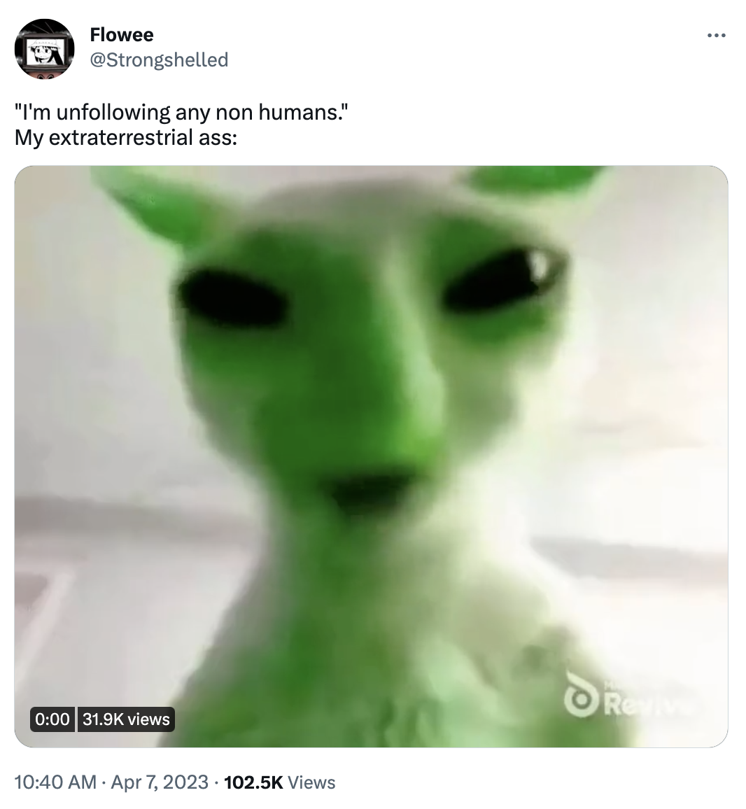 My extraterrestrial ass: | Green Alien Animals / Gnarp Gnarp / Geeble ...