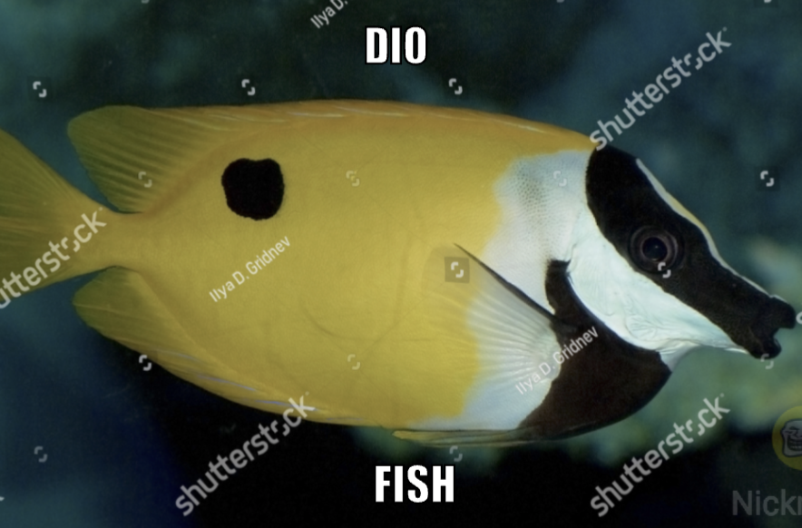 dio fish | /r/ShitPostCrusaders/ | JoJo's Bizarre Adventure | Know Your ...