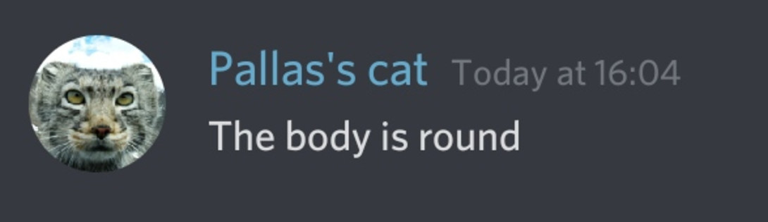 Pallas's Cat says the body is round | The Body Is Round | Know Your Meme