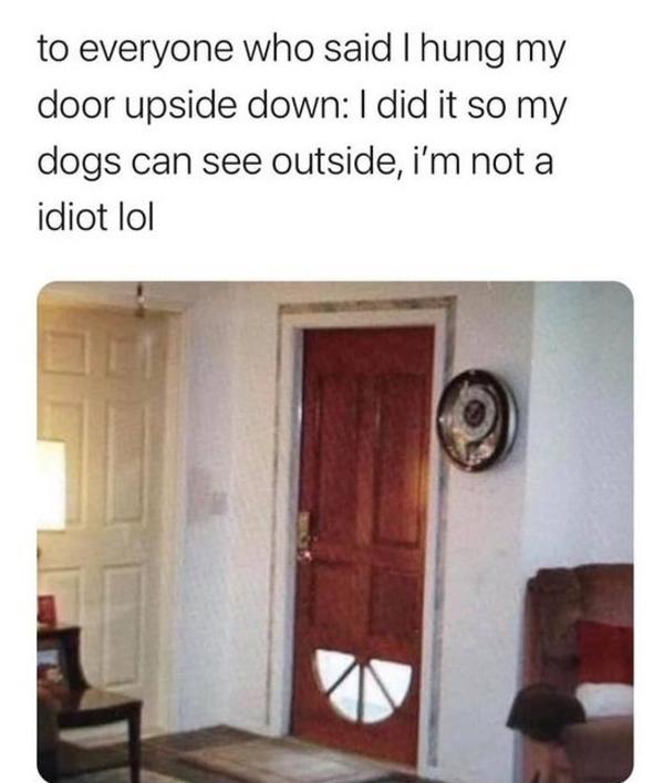 Genius Image Gallery Know Your Meme