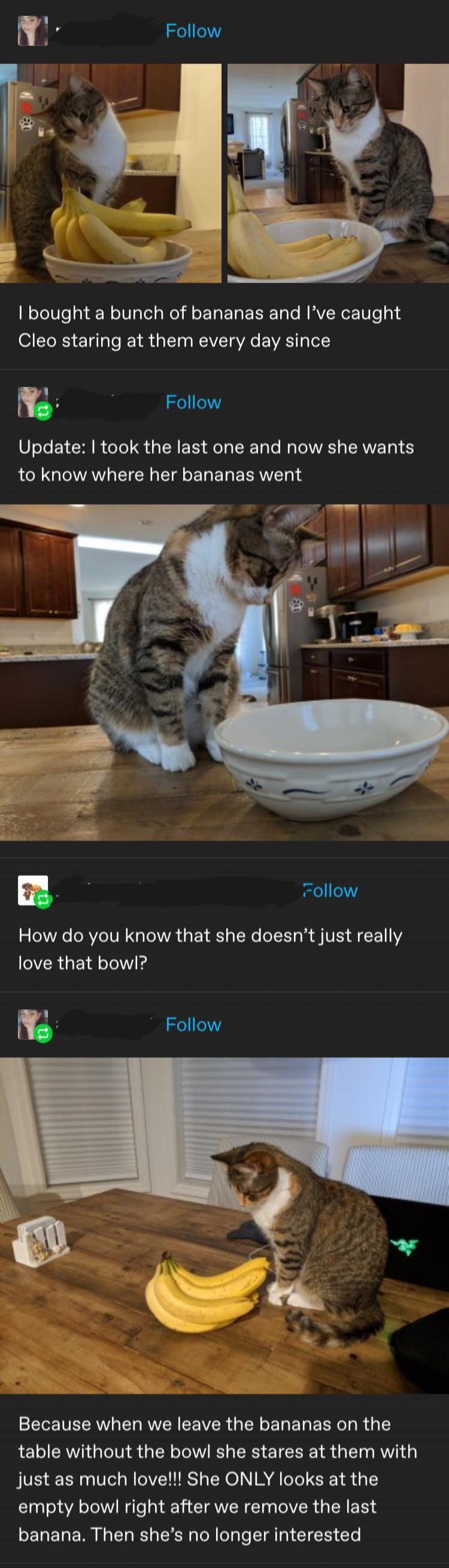 Wholesome bananas. | /r/wholesomememes | Wholesome Memes | Know Your Meme