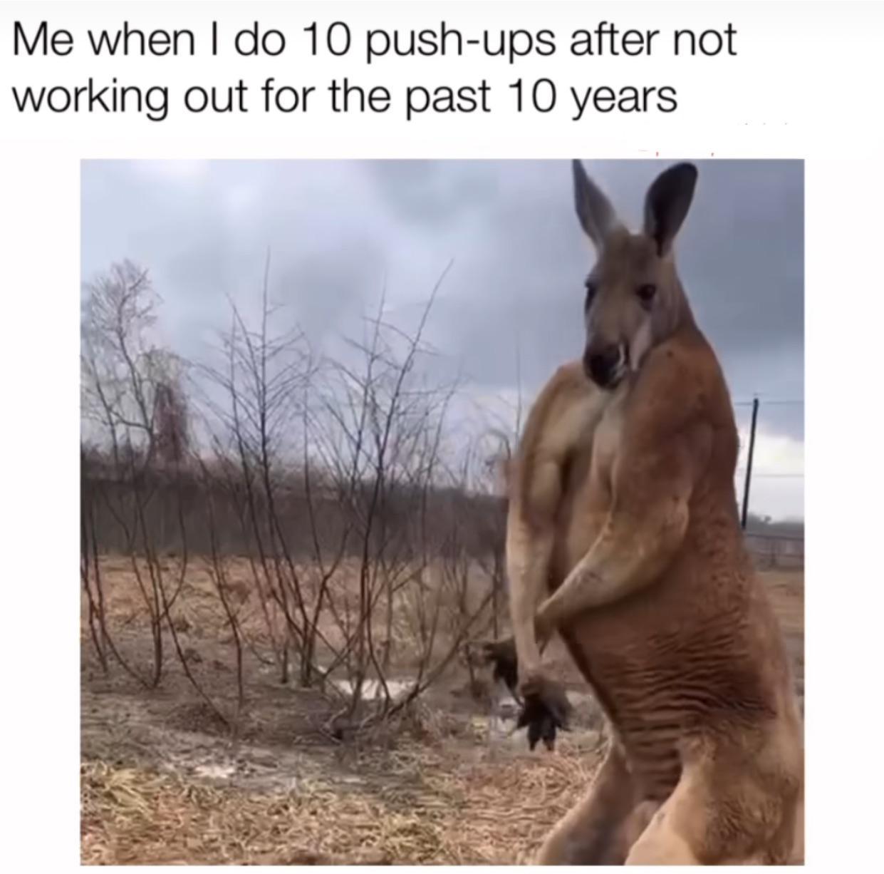 Can feel the pump in my biceps | /r/memes | Know Your Meme