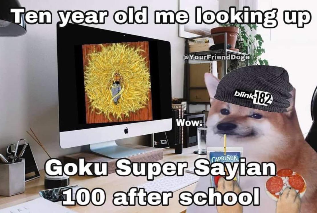 Le Dragonball has arrived | /r/dogelore | Ironic Doge Memes | Know Your ...