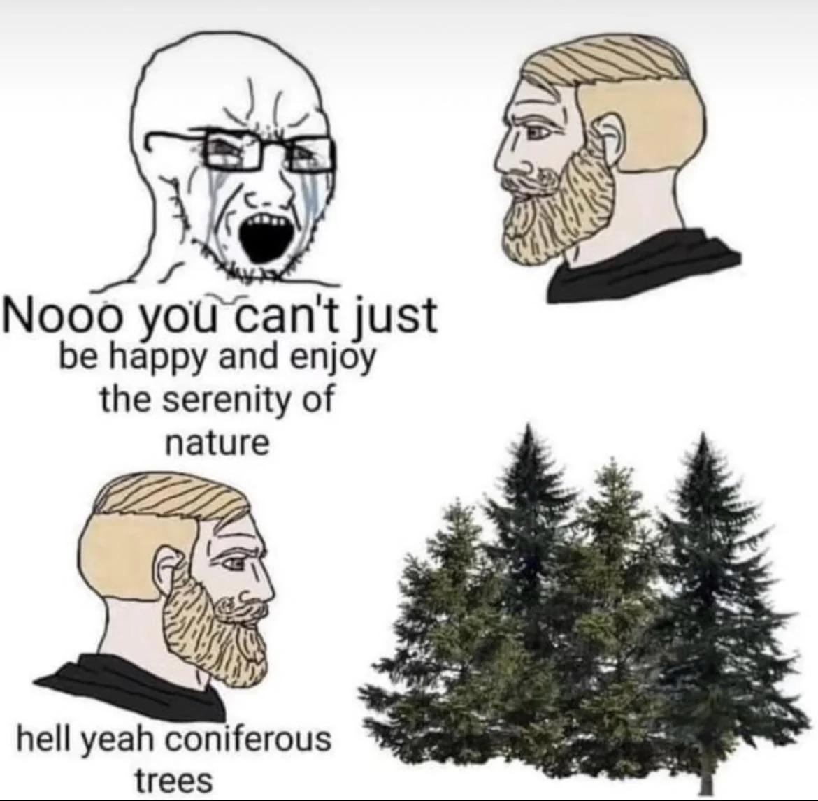 Yayy trees | /r/wholesomememes | Wholesome Memes | Know Your Meme