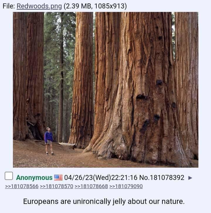Anon is American | /r/Greentext | Greentext Stories | Know Your Meme