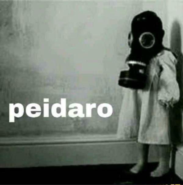 Peidaro meme | Peidaro (Someone Farted) | Know Your Meme