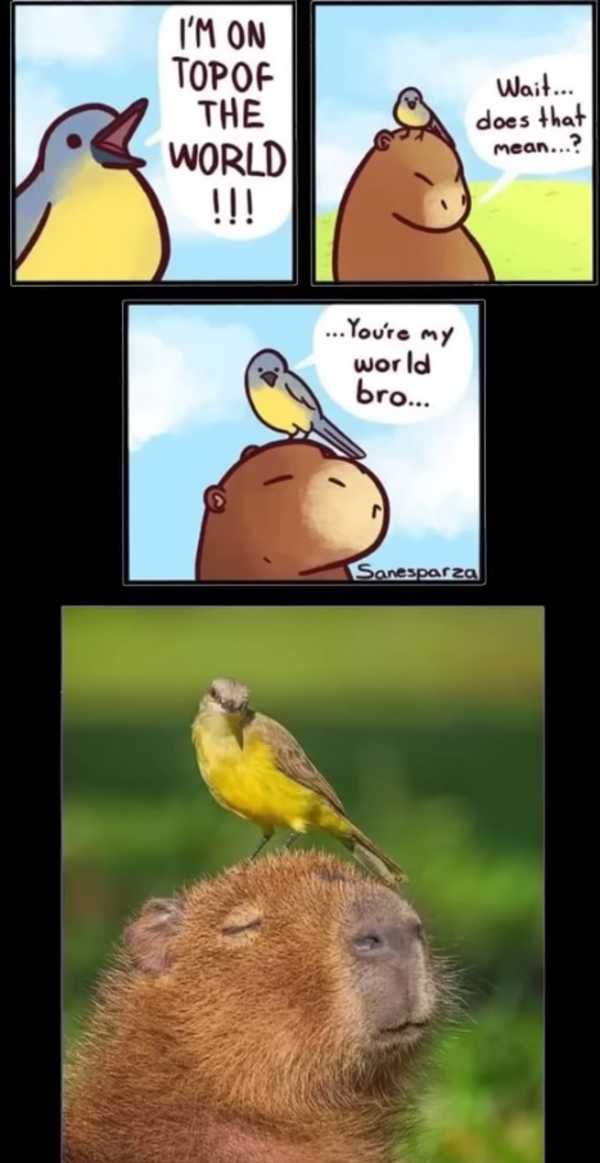 On the top of the World! | /r/wholesomememes | Wholesome Memes | Know ...