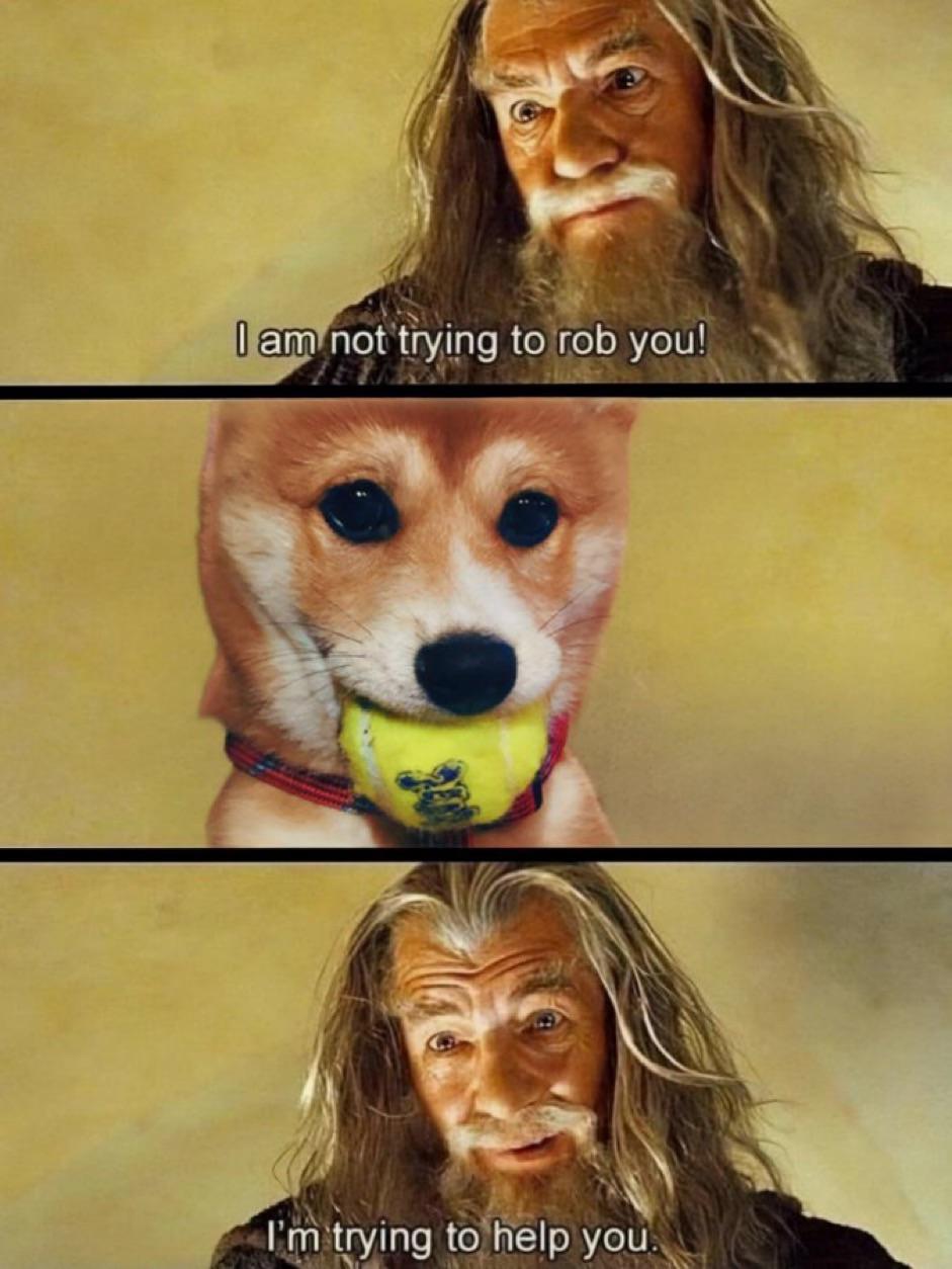 Hand it over | /r/wholesomememes | Wholesome Memes | Know Your Meme