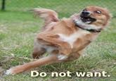 Bill Gates Do Not Want | Do Want / Do Not Want | Know Your Meme