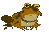 Hypnokermit | Hypnotoad | Know Your Meme
