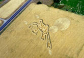 If I looking for frog him name is dat boi | Hopkin Green Frog | Know ...