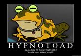 Hypnokermit | Hypnotoad | Know Your Meme