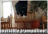 [Image - 10415] | Invisible Bike | Know Your Meme