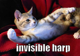 [Image - 11502] | Invisible Bike | Know Your Meme