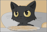 Spaghetti Cat | Know Your Meme