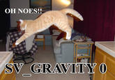[Image - 16165] | Gravity Cat | Know Your Meme