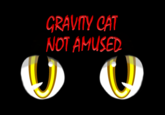 Gravity Cat | Know Your Meme