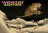 [Image - 24546] | Weezer Raditude Dog | Know Your Meme