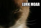 [Image - 740040] | Lurk Moar | Know Your Meme