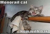 [Image - 26582] | Monorail Cat | Know Your Meme