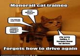 [Image - 116475] | Monorail Cat | Know Your Meme