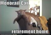 [Image - 116475] | Monorail Cat | Know Your Meme