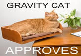Gravity Cat | Know Your Meme
