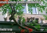 [Image - 27972] | Itteh Bitteh Kitteh Committeh | Know Your Meme