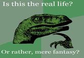 [Image - 191090] | Philosoraptor | Know Your Meme