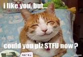 [Image - 28816] | STFU | Know Your Meme