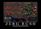 News | Zerg Rush | Know Your Meme