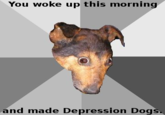 Who Said I'm Stressed | Depression Dog | Know Your Meme