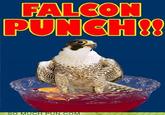 Television | Falcon Punch | Know Your Meme