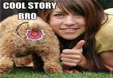 Cool story, bro! origins | Cool Story, Bro | Know Your Meme
