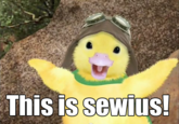 This is Sewious! | Know Your Meme