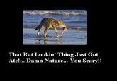 Awe-scary... | Damn Nature, You Scary! | Know Your Meme