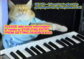 Keyboard pug | Keyboard Cat | Know Your Meme