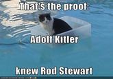 [Image - 475962] | Kitler | Know Your Meme