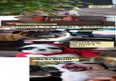 [Image - 88322] | Dog Fort | Know Your Meme
