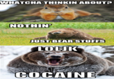 Allahu Akbar | Whatcha Thinkin Bout? | Know Your Meme