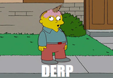 [Image - 165510] | Derp | Know Your Meme