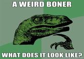 W0T | I Have The Weirdest Boner | Know Your Meme