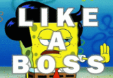 [Image - 588111] | Like A Boss | Know Your Meme