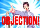[Image - 138279] | Objection! | Know Your Meme