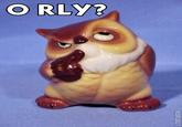 Ha ha ha no. | O RLY? | Know Your Meme